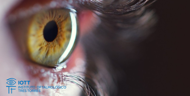 ¿Qué es el humor acuoso y por qué es tan importante para nuestra salud ...